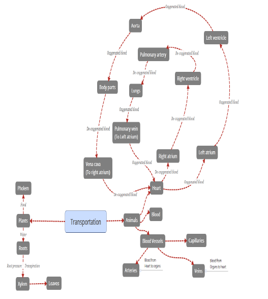 cbse-class-10-science-life-processes